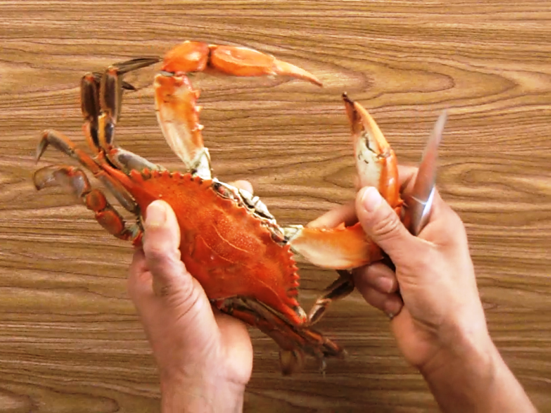 How to pick a crab for dinner like a pro, from Phillips Seafood.